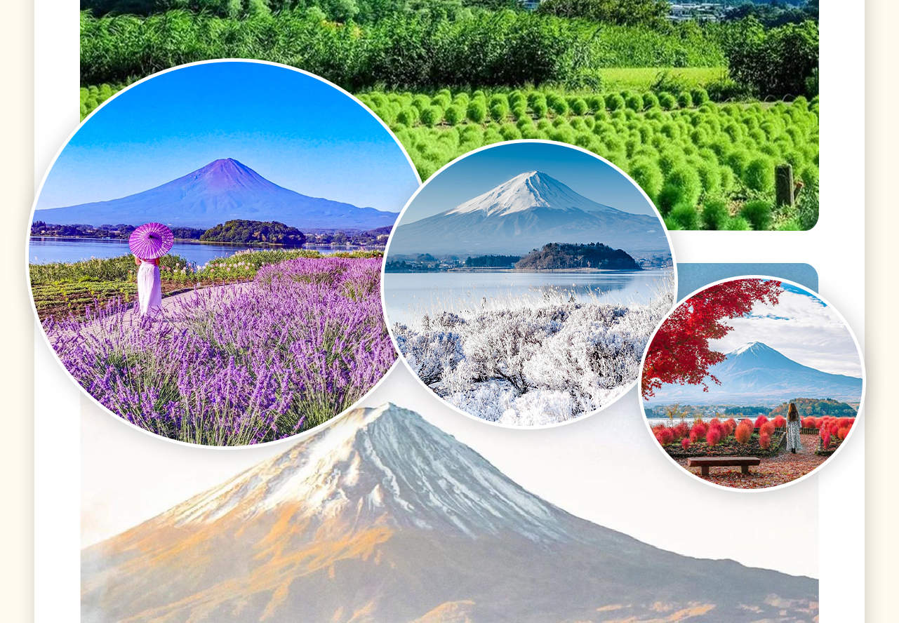 [One-day tour of Mount Fuji Internet celebrity & classic check-in ...